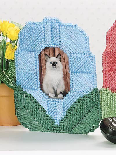 "Flower Frames Screen" | Plastic Canvas Pattern